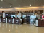 Новая жизнь (Gor'kogo Street No:5А), kafe  Kirov'dan