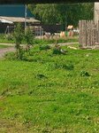 Playground (Chuvash Republic, Alatyr, ulitsa Gagarina), oyun alanı  Alatyr'dan