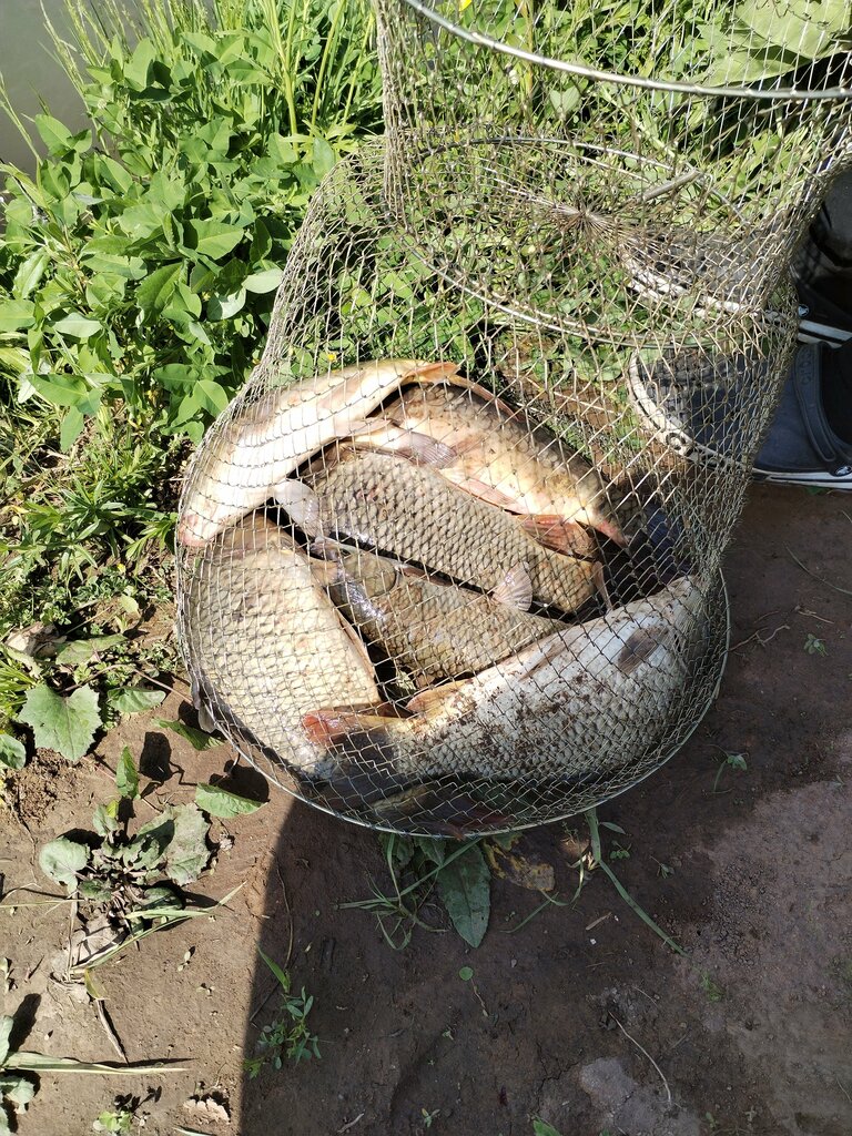 Tatil köyleri Баркас, Nijegorodskaya oblastı, foto