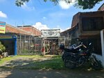 El mundo de las materas (Valle del Cauca, Municipio de Santiago de Cali, Calle 14, 54-104), fidan yetiştiriciliği  Cali'den