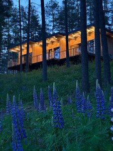 Bolshoe Borkovo Resort (Leningrad Region, Priozerskiy District, Sosnovskoye selskoye poseleniye, Sportivnaya ulitsa, 9), otel  Saint‑Petersburg ve Leningradskaya oblastından