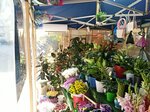 Florista (Sayram street No:37, Mirzo Ulugbek District), çiçekçiler  Taşkent'ten