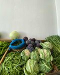 Manav (Mersin, Tarsus, Kaleburcu Mah.), manavlar  Tarsus'tan