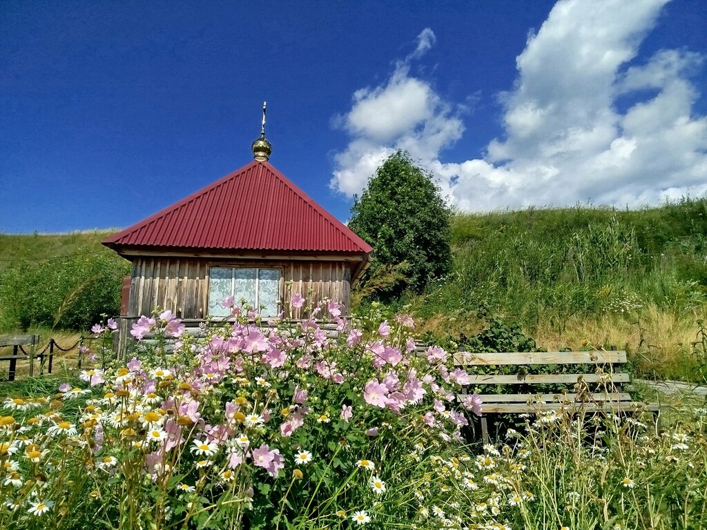 Pınar, çay Святой источник святителя Николая Чудотворца, Ulyanovskaya oblastı, foto