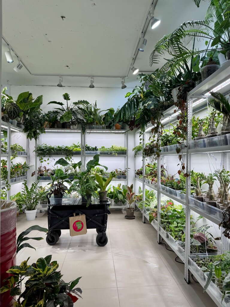 Çiçekçiler Ozelenet, Moskova, foto