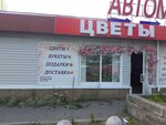 Buton (ulitsa Parkhomenko No:153), çiçekçiler  Ufa'dan