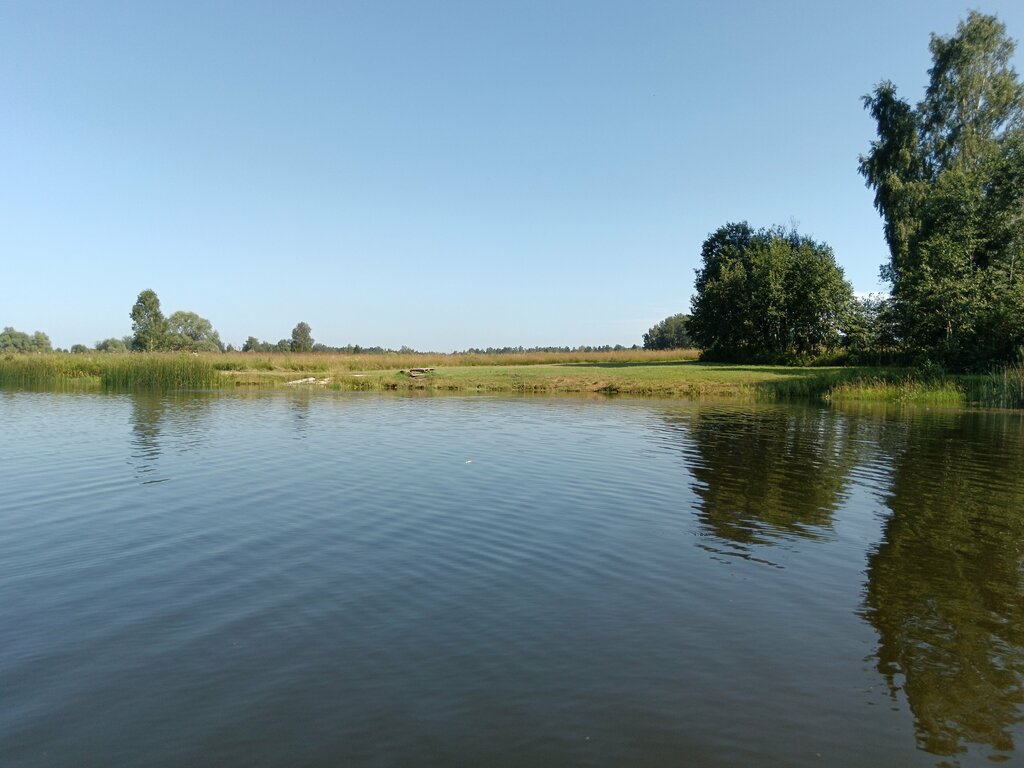 Plaj Beach, Moskova ve Moskovskaya oblastı, foto