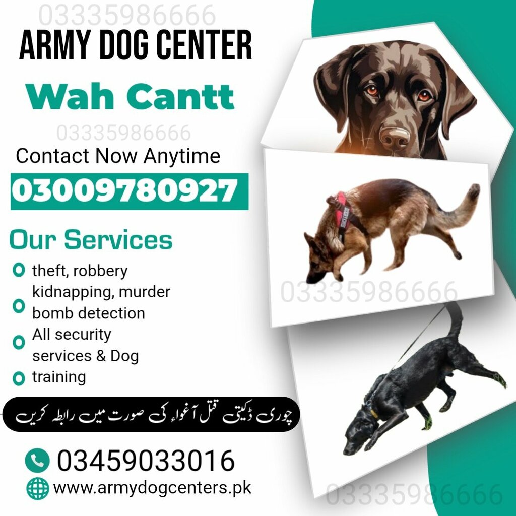 Dedektiflik büroları Army Dog Center Rawalpindi, Rawalpindi, foto