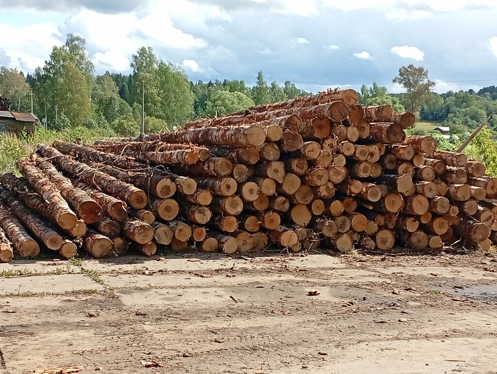 Ahşap endüstrisi Пилорама Мостлес, Tverskaya oblastı, foto