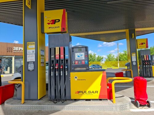 Gas station Rosneft, Brianskaya oblastı, foto