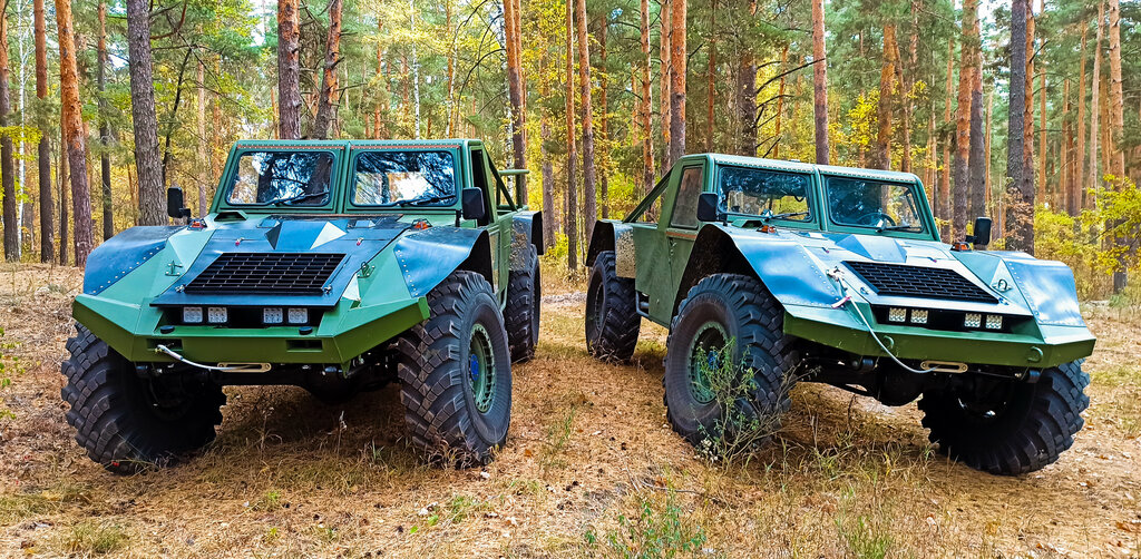 Orman Красивый лес, Kaliningradskaya oblastı, foto