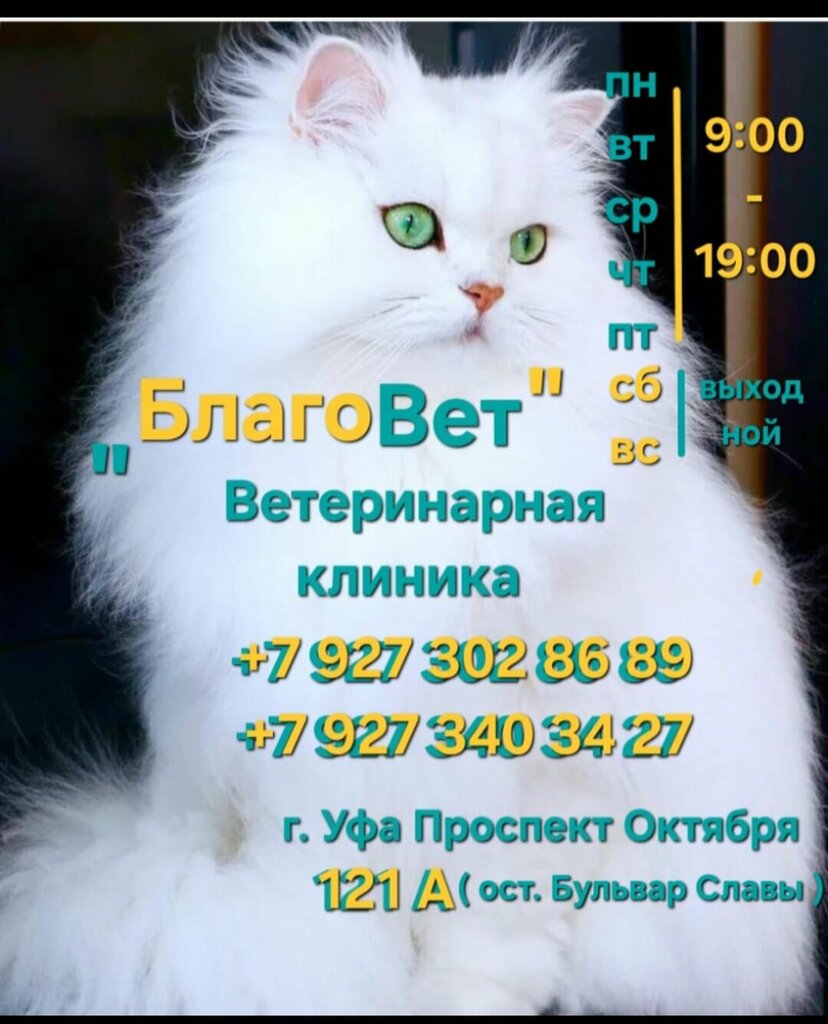 Veteriner klinikleri БлагоВет, Ufa, foto