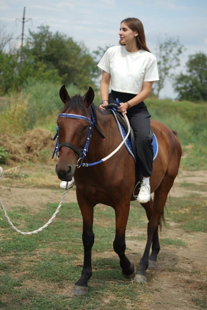 At ve binicilik kulüpleri Конные прогулки, Adıge Cumhuriyeti, foto