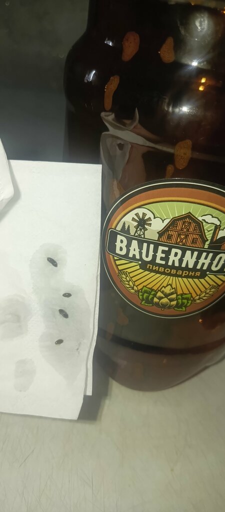 Bira dükkanı Свежее разливное, Samarskaya oblastı, foto