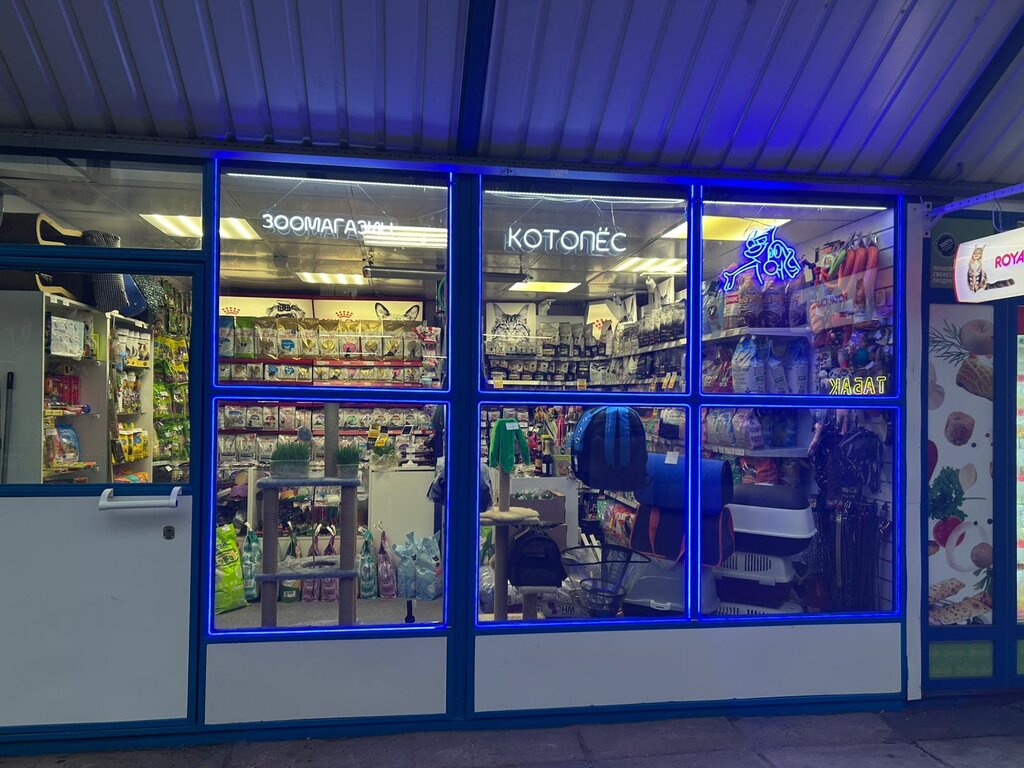 Petshop Котопёс, Saint‑Petersburg, foto