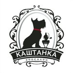 Каштанка (Novo-Sadovaya Street No:281), evcil hayvan kuaförleri  Samara'dan
