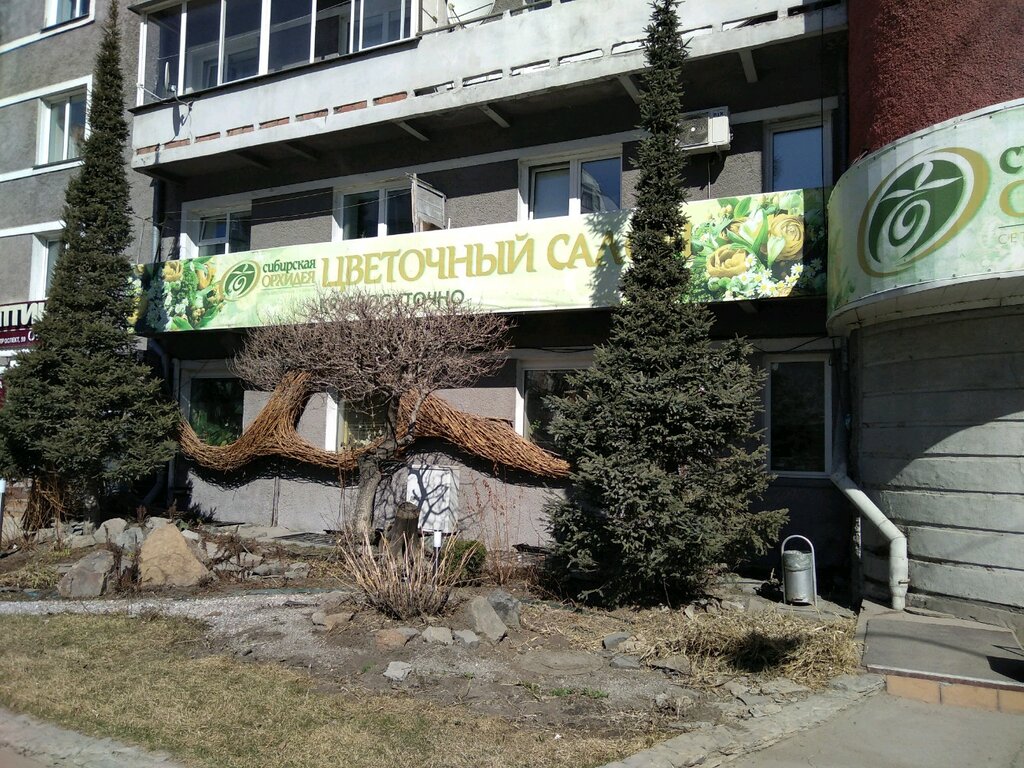 Çiçekçiler Sibirskaya orhideya, Novosibirsk, foto