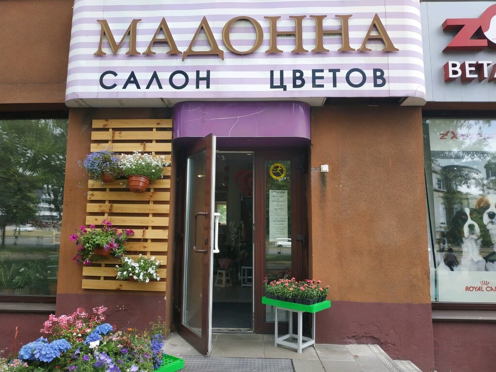 Çiçekçiler Salon tsvetov Madonna, Minsk, foto