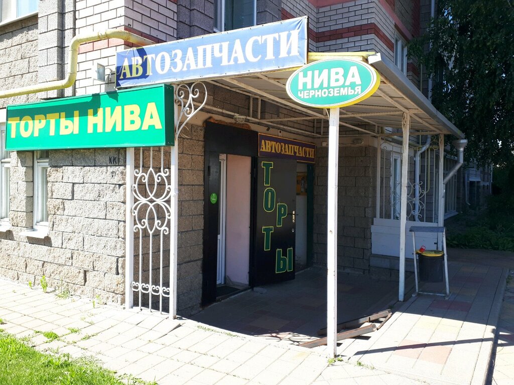 Otomobil yedek parçaları AvtoZapchasti, Belgorod, foto