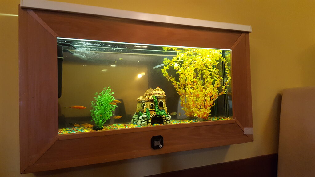 Kafe Сеул, Sahalin Bölgesi, foto