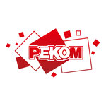 Rekom (Pionerskaya ulitsa No:22), tabela yapımı  Elektrostal'den