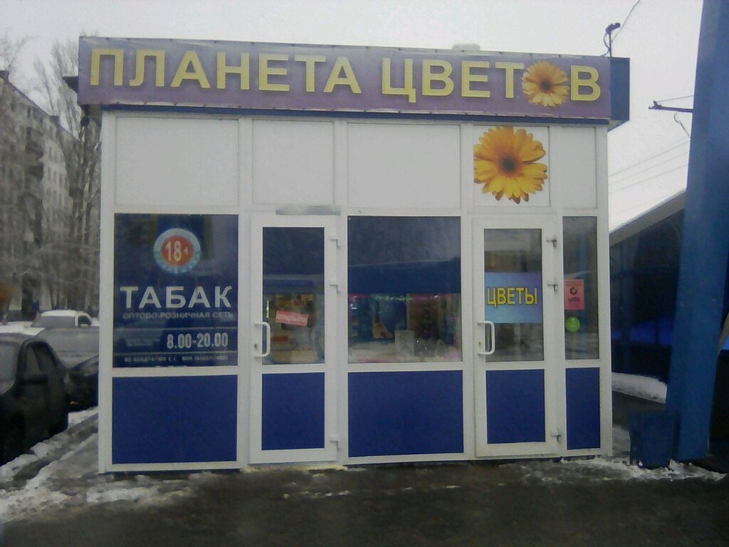 Çiçekçiler Planeta tsvetov, Naberejniye Çelny (Yar Çallı), foto