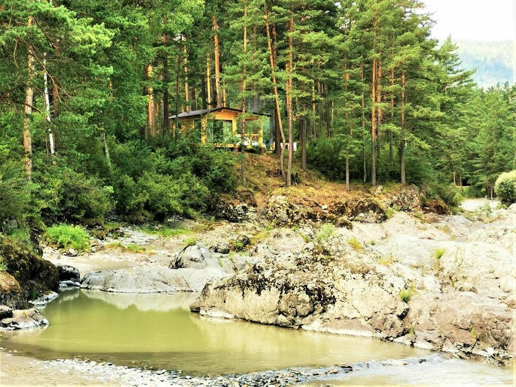 Tatil köyleri Pine Lakes Katun, Altay Cumhuriyeti, foto