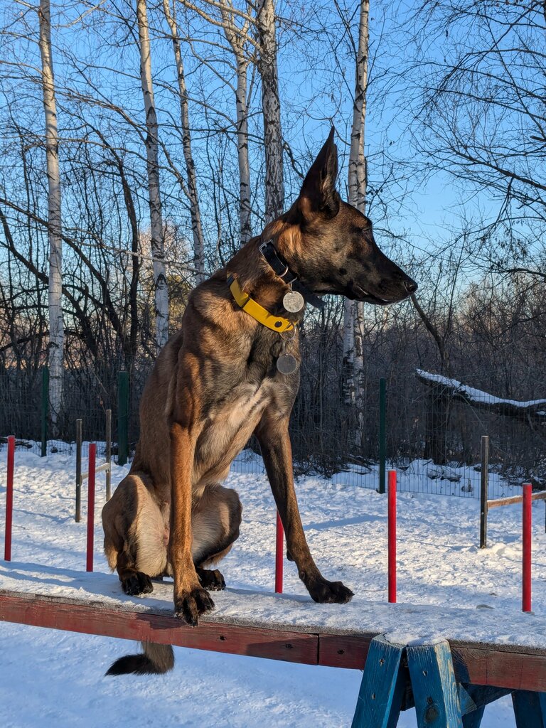 Hayvanat bahçesi merkezi Рыжий пес, Yekaterinburg, foto