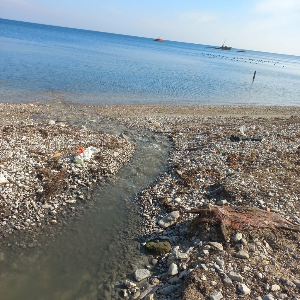 Gazete ve dergiler Gazeta Pobeda, Feodosya (Kefe), foto
