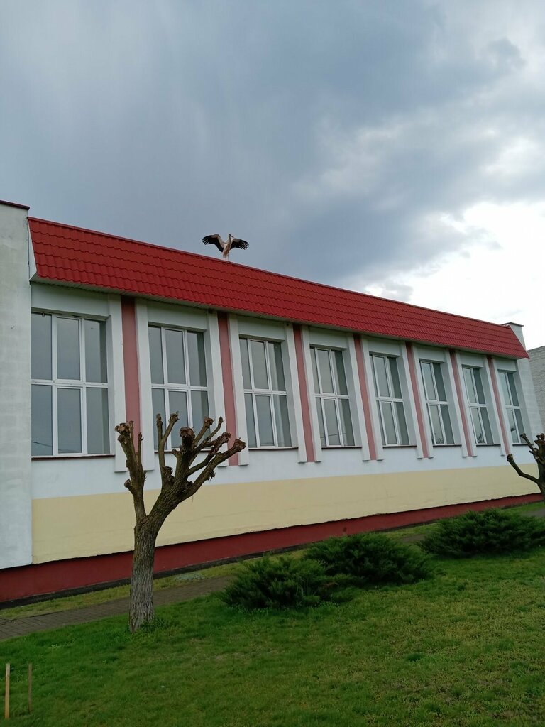 Spor okulları Специализированная детско-юношеская школа олимпийского резерва Гомельского района, Gomelskaya oblastı, foto