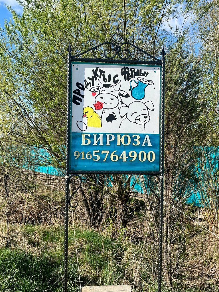 Çiftlik tatili Ферма Бирюза, Moskova ve Moskovskaya oblastı, foto