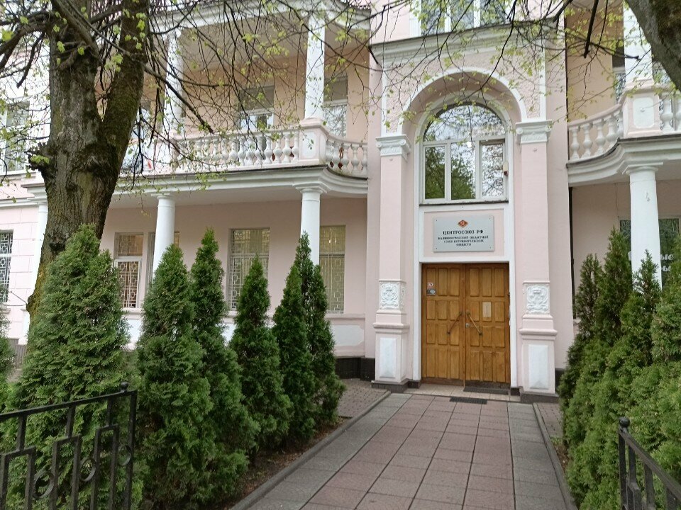 Finansal danışmanlık Долговые Решения, Kaliningrad, foto