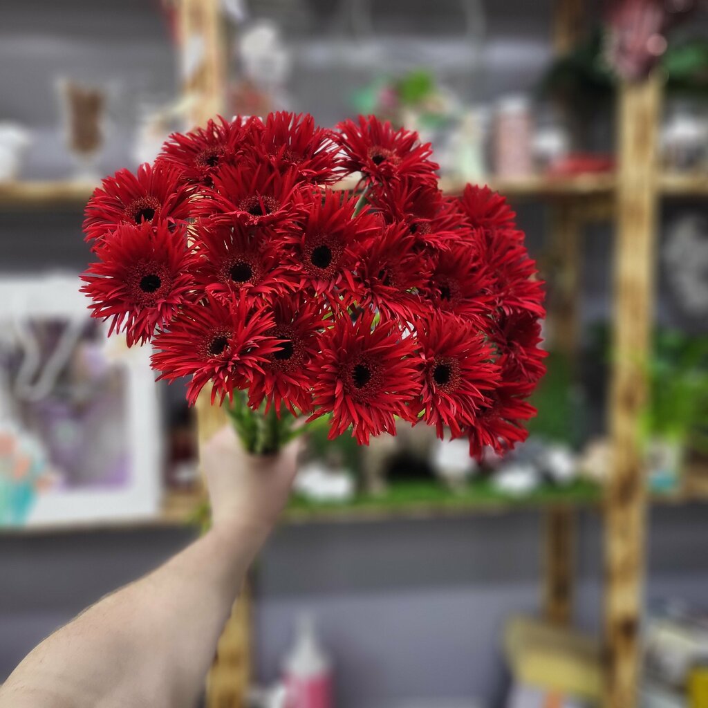 Çiçekçiler Monarhouse, Moskova, foto