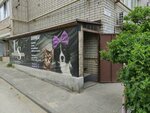 StiliMili (Cherepovetskaya Street No:11/5), evcil hayvan kuaförleri  Volgograd'dan