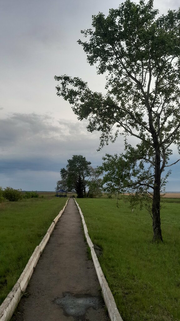 Pınar, çay Spring, stream, Kuzey Kazakistan eyaleti, foto
