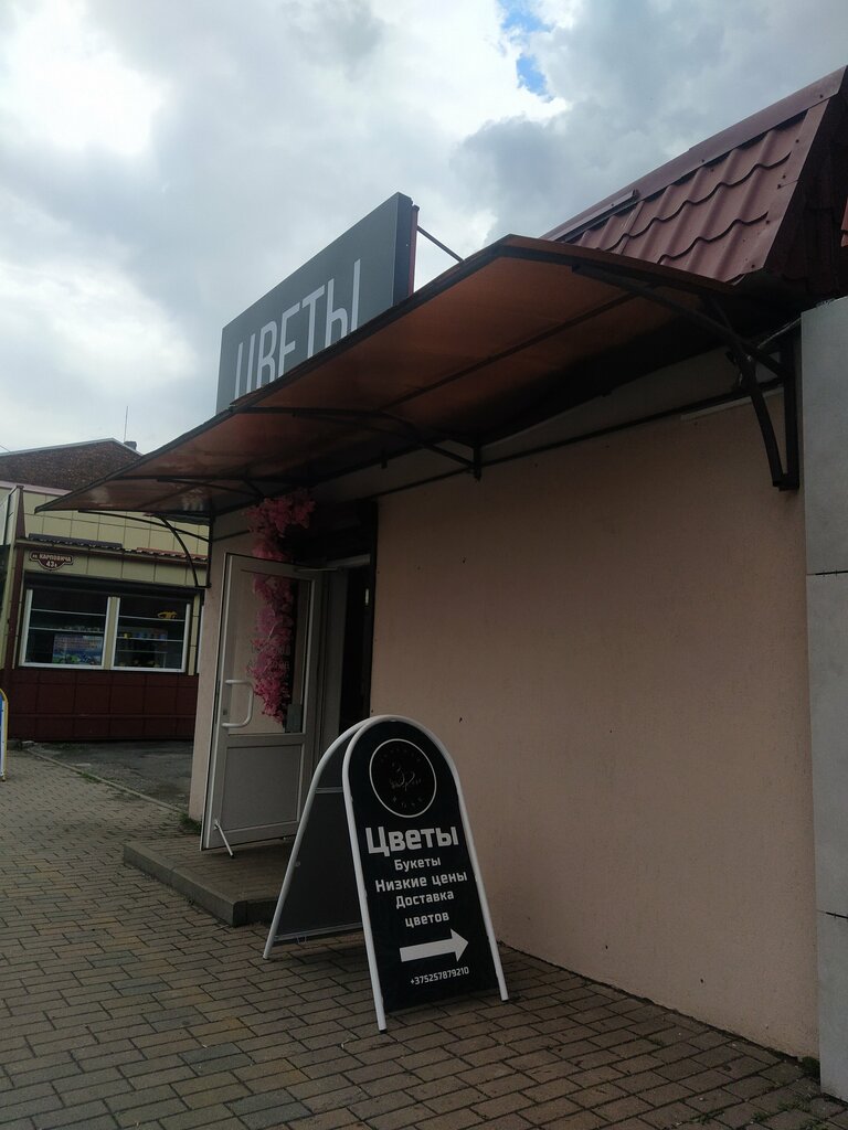 Çiçekçiler Зелёная роза, Gomel, foto