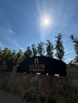 Altun Atlı Spor Kulübü (Kocaeli, Gebze, Cumaköy Mah., Mevlana Cad.), at ve binicilik kulüpleri  Gebze'den