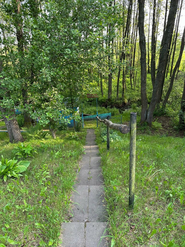 Pınar, çay Spring, stream, Gomelskaya oblastı, foto