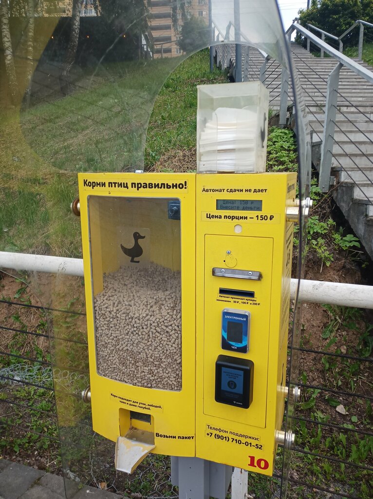 Petshop Feed the ducks, Dolgoprudny, foto