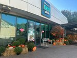 Beliy Kit (ulitsa Lenina No:11), kafe  Svetlogorsk'tan