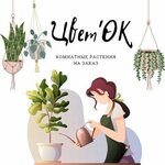 ЦветОК (Kaslinskaya Street No:17, Chelyabinsk), yapay bitki ve çiçek  Çeliabinsk'ten
