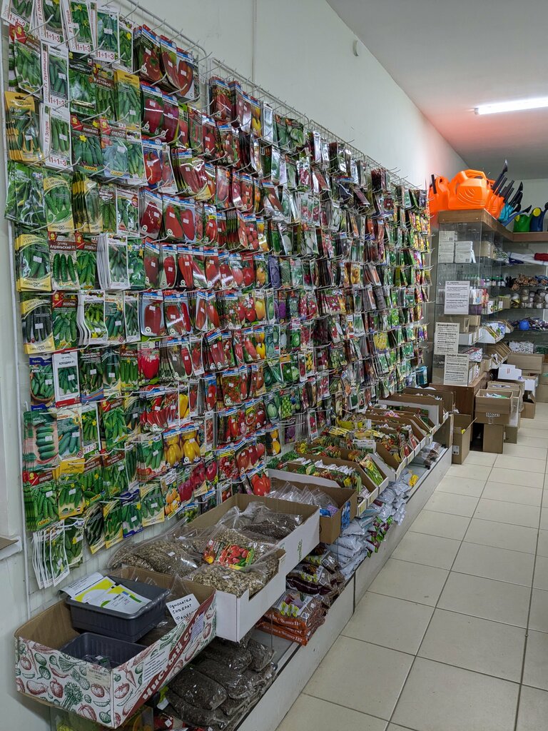 Sera ve bahçe ürünleri Всё для дома и сада, Moskova ve Moskovskaya oblastı, foto