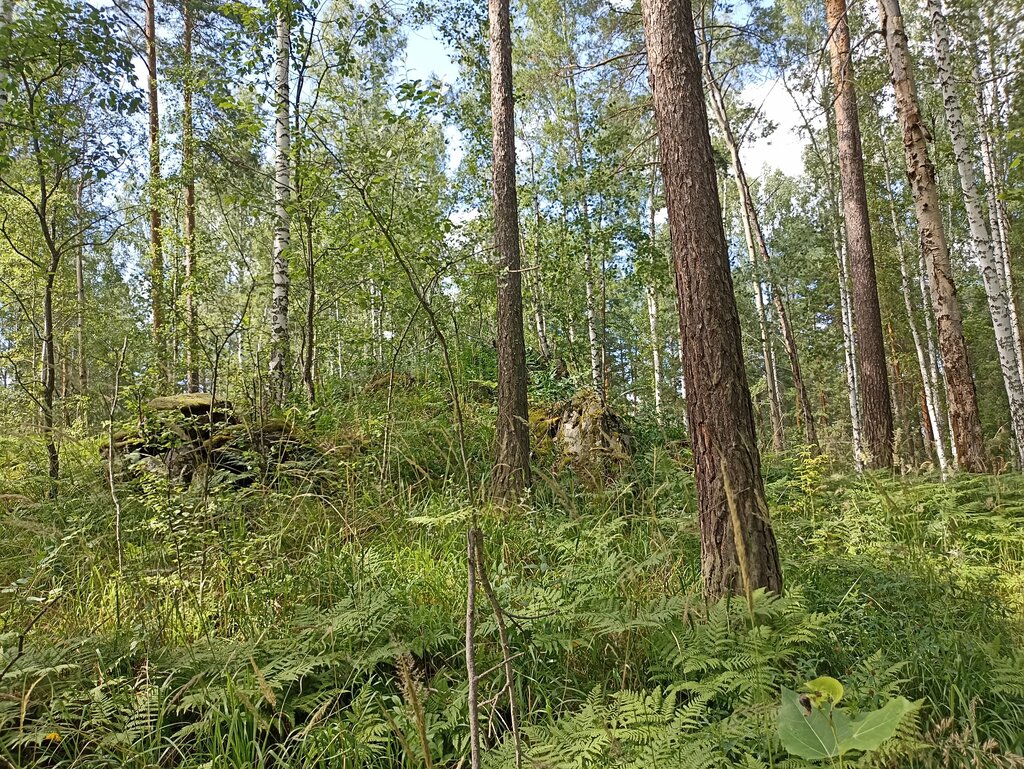 Turistik yerler Глубочинское месторождение граната, Sverdlovskaya oblastı, foto