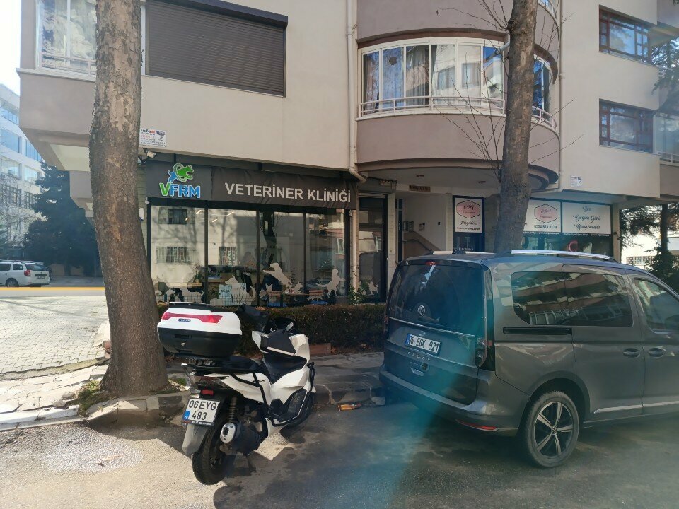 Sosyal rehabilitasyon merkezi Veteriner Fizik Tedavi ve Rehabilitasyon Merkezi, Ankara, foto