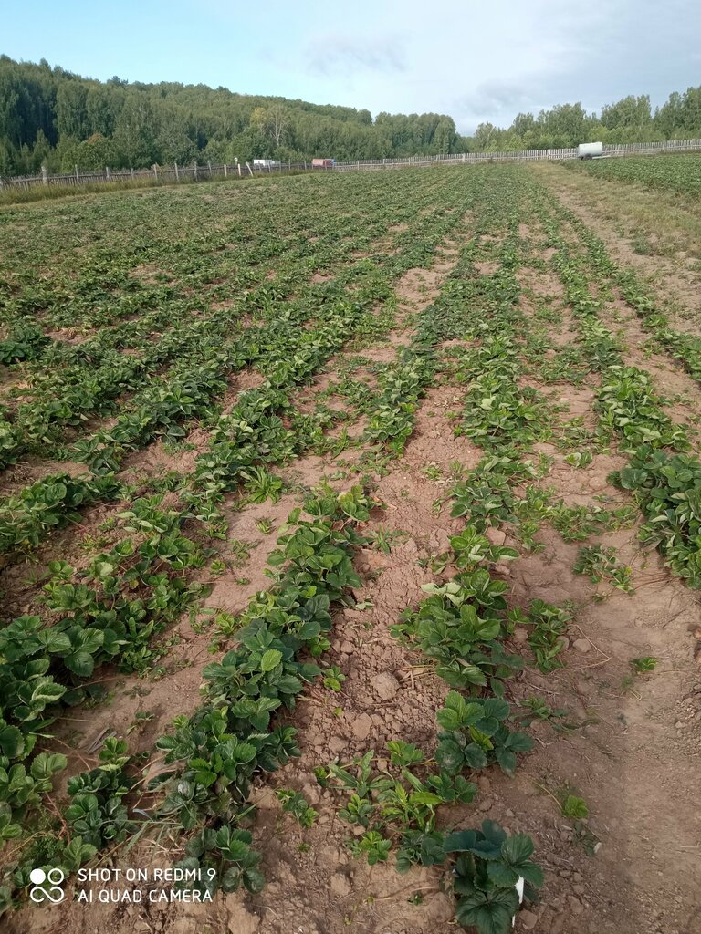 Belediyeler, devlet daireleri Administratsiya d. Panteleykovo, Sverdlovskaya oblastı, foto