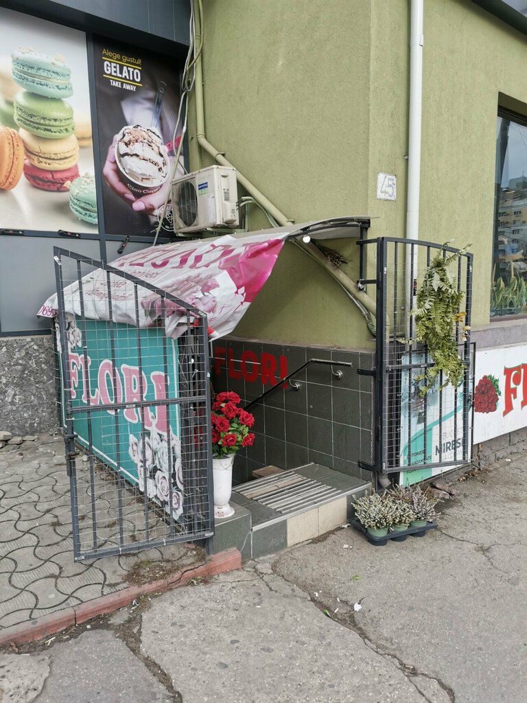 Çiçekçiler Flori, Kişinev, foto