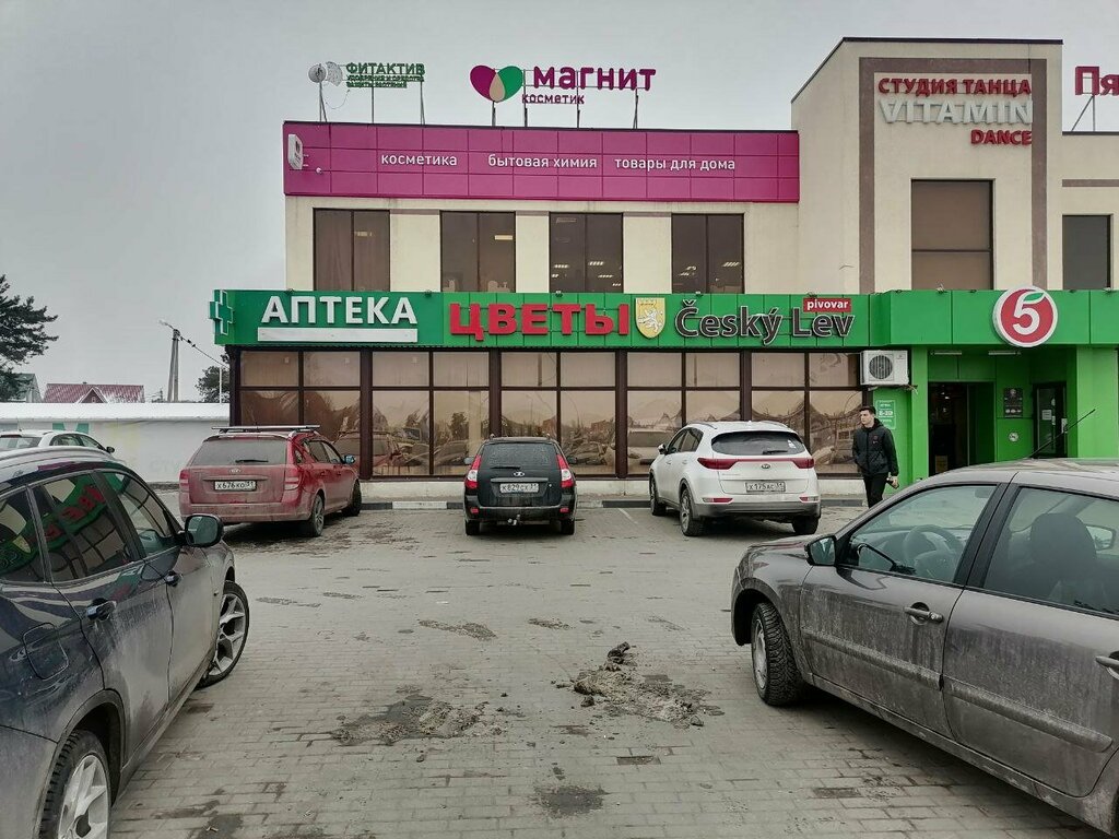 Çiçekçiler Цвет папоротника, Stariy Oskol, foto