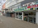 Neosem (Bulgara Street No:84/1), bahçe bakımı  Kişinev'den