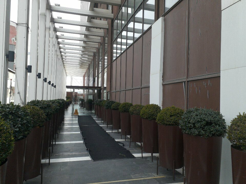 Danışmanlık hizmetleri Expatia Consultancy, İstanbul, foto