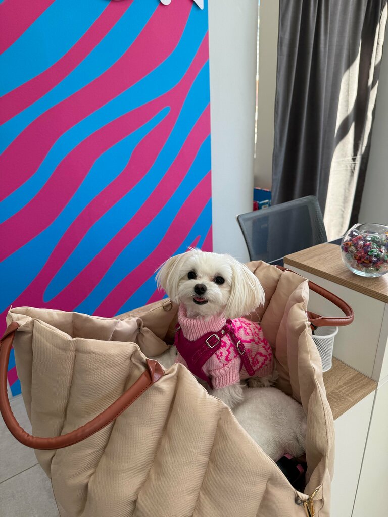 Teslimat noktası Ozon, Rostov‑na‑Donu, foto